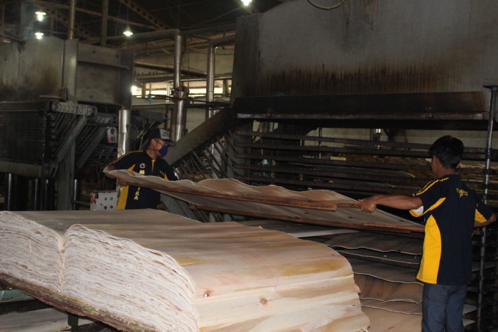 What Are Plywood And Blockboard? - Merawood Industries